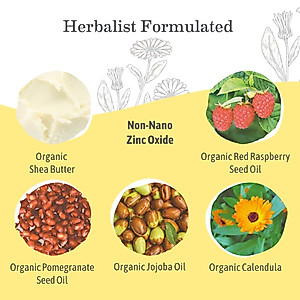 Earth Mama Baby Mineral Sunscreen Lotion SPF 40 | Reef Safe, Non-Nano Zinc, Natural Water Resistant Sun Cream for Babies, Kids & Adults, 3-Ounce