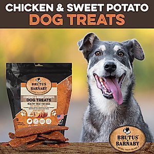 BRUTUS & BARNABY Chicken & Sweet Potato Jerky Dog Treats - Grain-Free, Preservative-Free, No Fillers - All Natural USA Chicken & Sweet Potato, High in Antioxidants - Healthy, Tasty Treat for Dogs