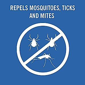 Coleman Insect Treatment Spray - Permethrin Insect Repellent Spray for Gear and Clothing, Protection Against Ticks, Mosquitoes, and Mites, Ideal for Camping, Hiking, and Outdoor Activities, 6oz
