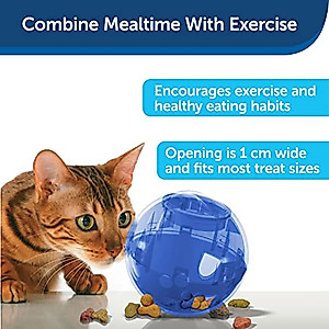 PetSafe SlimCat Meal-Dispensing Cat Toy, Great for Food or Treats, Blue, for All Breed Sizes