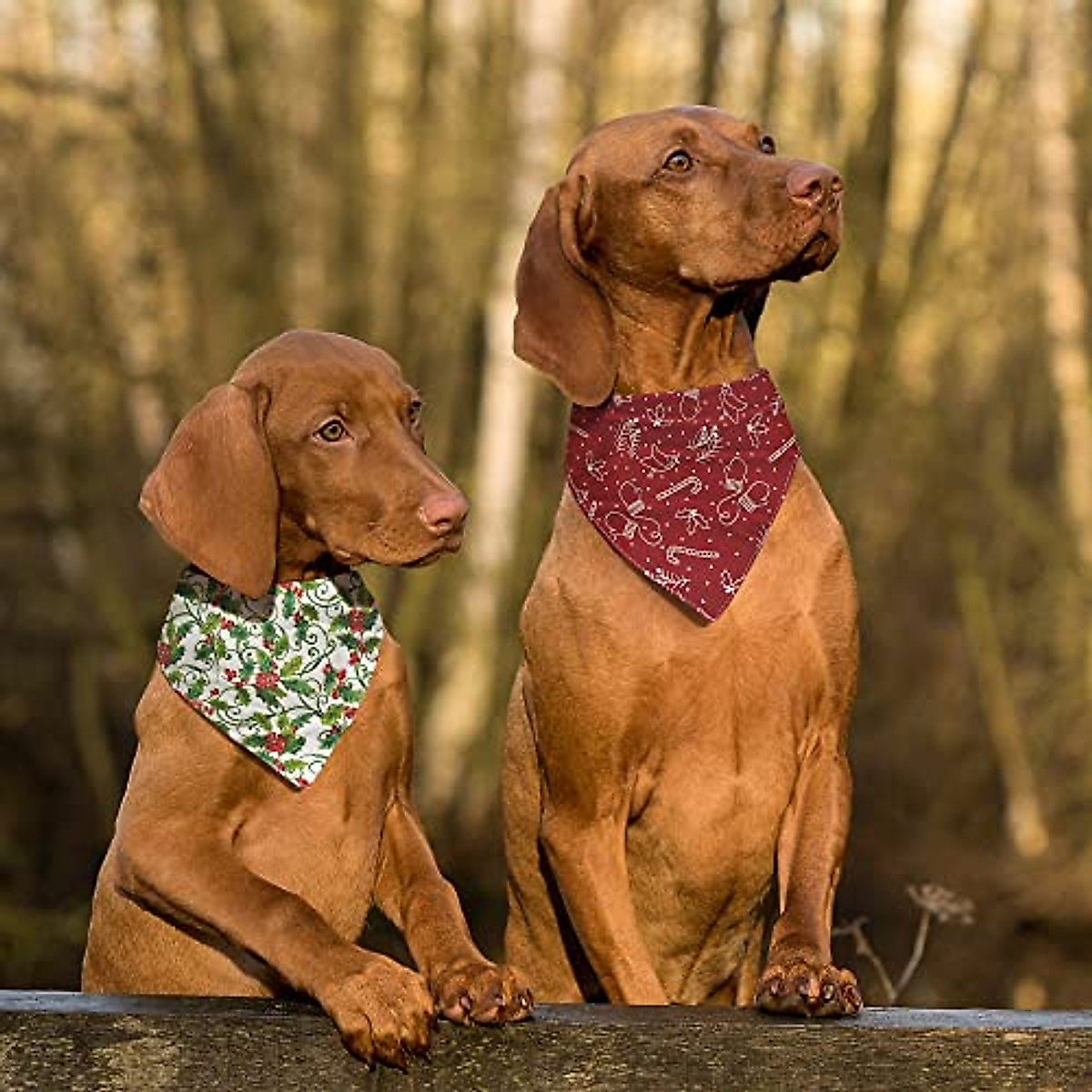 AVOIN colorlife Christmas Holly Red Berries Pet Bandana 2 Pcs, Adjustable Candy Cane Gloves Holiday Party Triangle Reversible Dog Cat Scarf for Small Medium Large Dogs