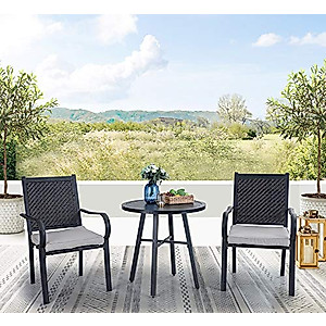 PHI VILLA Outdoor Rattan Dining Chairs Set of 2, Wicker Chairs with Removable Cushion & Metal Frame, for Patio, Deck, Yard, Porch