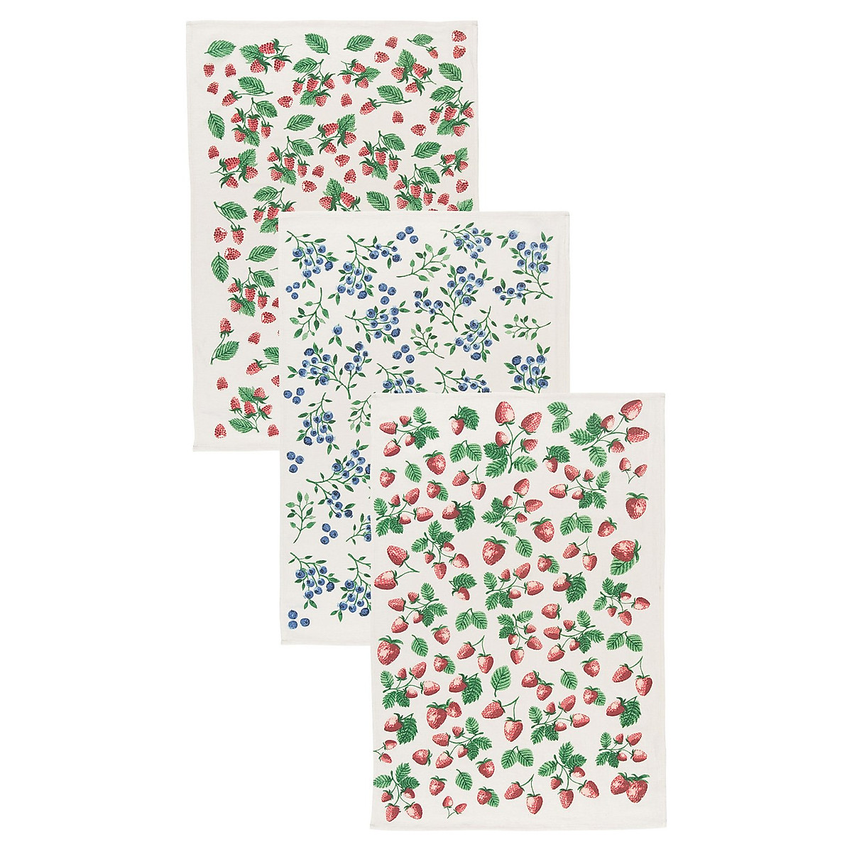 Now Designs Berry Patch Cotton Floursack Kitchen Dish Towels 20 x 30in, Set of 3, Red, Blue, Green, White