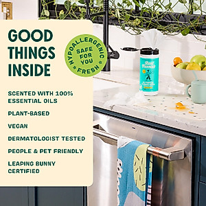 Aunt Fannie's Natural Cleaning Vinegar Wipes, Multipurpose Surface Cleaner, Eucalyptus Scent, 35 Count (Pack of 1), Packaging May Vary