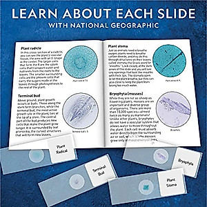 NATIONAL GEOGRAPHIC Mega Biology Set -8 years and up, Professional Grade Specimens, 25 Prepared Microscope Slides, Detailed Learning Guide and Storage Box,