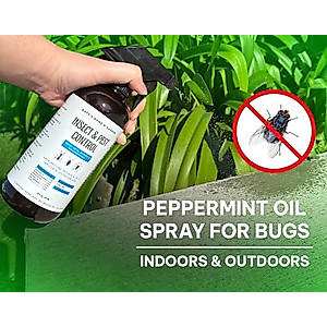 Insect & Pest Control Spray for Home and Kitchen with Peppermint Oil & Cedarwood Oil (16oz) - Kate's Home & Garden. Repels Ants, Spiders, Flies, Insects Indoor & Outdoor. Non-Toxic. Made in USA.