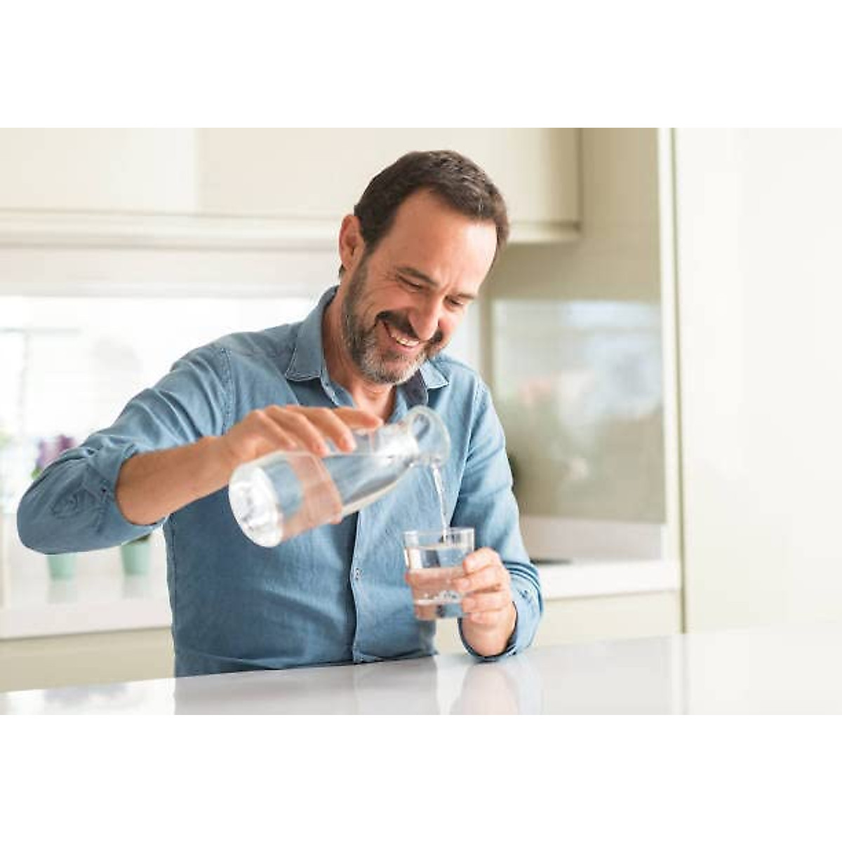 Watts Premier 500145 Plex Replacement, 2-Pack, 2 Count (Pack of 1), Plain