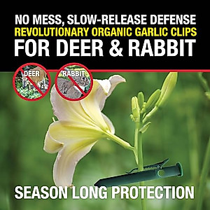 The Giant Destroyer 700 Garlic Deer & Rabbit Repellent, 12 Clips, Green