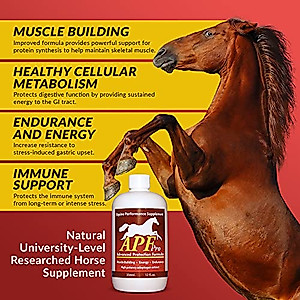 APF PRO Equine | Natural University-Level researched Horse Supplement | Gastric Health, Resistance to Stress, Immune Support, Muscle Health, Endurance