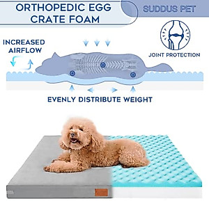 suddus Orthopedic Dog Bed for Medium Dogs, Non-Slip Pet Bed with Waterproof Lining, Memory Foam Dog Bed for Crate Big Dog Bed with Removable Washable Cover (Grey, M)