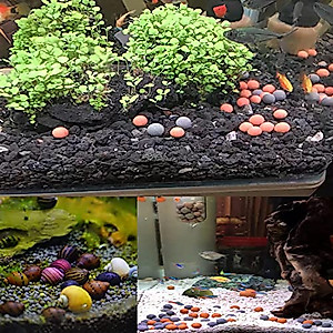 200pcs Tourmaline Balls for Freshwater Aquarium Tank. Mineral Supplement Substrate. Tourmaline Ball for PH Balance. Live Shrimp Food, Betta Fish Food, and Crayfish Food.…