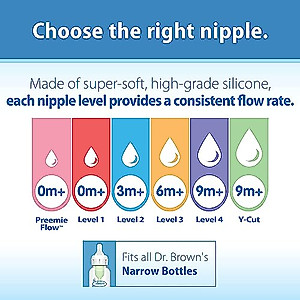 Dr. Browns 2 Natural Flow Level 2 Standard Nipple - 6 Count