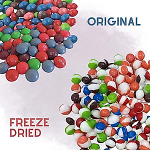 Freeze Dried Candy Wild Berry Rainbow Candy 1lb (16oz) - Ships In Box - Deliciously Crunchy, Intense Flavor, Lightweight Snack - Resealable Bag (Wild Berry 1lb)