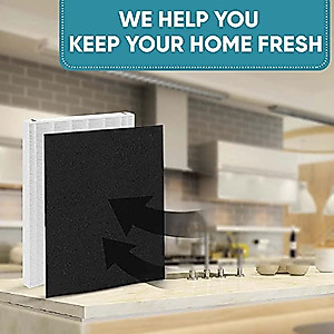 Filters for Winix 115115 - Winix C535 Replacement Filter A - Winix PlasmaWave Filter Replacement - Fit Winix Air Purifier Models C535 P300 5300 6300 AM90. Pack of 2 115115 Hepa + 8 Carbon Filters