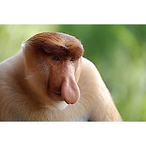 Fujifilm X-T10 Body Black Mirrorless Digital Camera (Old Model)