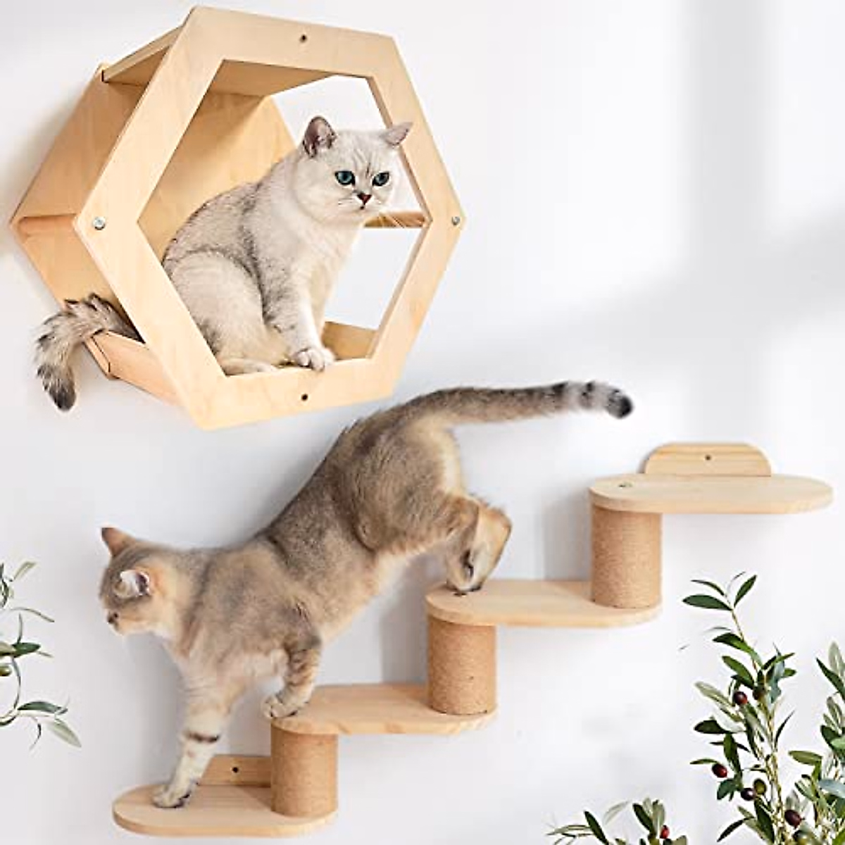 Cat Shelves Cat Wall Shelf and Cat Ladder of 4 Level, Cat Houses Condos for Activity Indoor Cats Furniture Wall Mounted Cat Wall Steps Set with Hexagon Nest Perches 2 PCS Set
