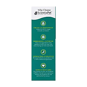 bSerene Pheromone + Catnip Calming Solution for Cats 60ml Spray Works Fast to Help Reduce Hiding, Scratching, Fighting, Marking, Stress, Anxiety at-Home or Travel Vet, Thunder, Fireworks (440223)
