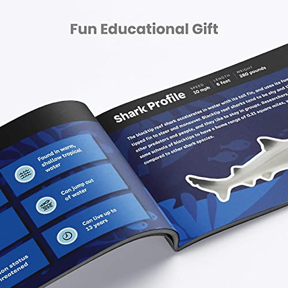 Boley Shark Toys - 8 Pack 10" Long Soft Plastic Realistic Shark Toy Set - Toddler Sensory Toys and Birthday Party Favors for Kids