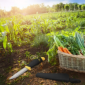 Linsen-outdoor Fixed Blade Knife With Sheath Camping Knife Outdoor 4 Inch Single Edge Blade Stainless Steel Sharpe Survival Knives For Garden Grafting