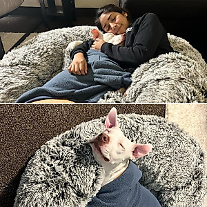 YITAHOME Human Dog Bed, 79"x43" Extra Large Memory Foam Dog Beds for Adults and Pets with Blanket and Pillow, Washable Fur Cover, Grey