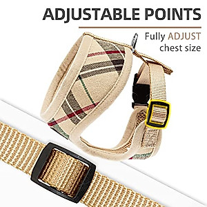 PUPTECK Soft Mesh Dog Harness and Leash Set Pet Puppy Cat Comfort Padded Vest No Pull Harnesses, Beige, S