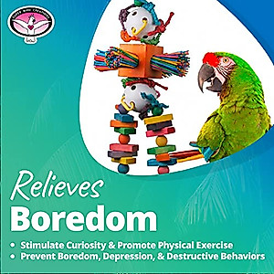 Super Bird Creations SB514 XL Willy Nilly Bird Toy, Large/XL Bird Size, 29" x 11"