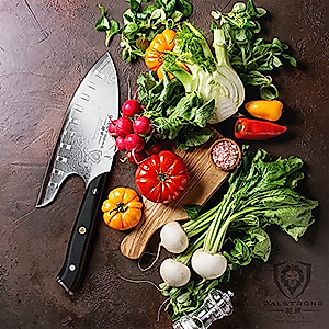 Dalstrong Guardian Chef Knife - 8 inch - Shogun Series ELITE - Ergonomic Design - Limits Fatigue - Japanese AUS-10V Super Steel Kitchen Knife - G10 Handle - w/Sheath