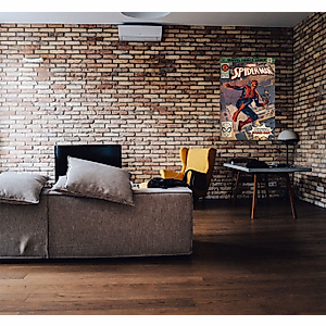 Spider Man Comic Book Cover Poster, Size 24x36 (Spider-Man)