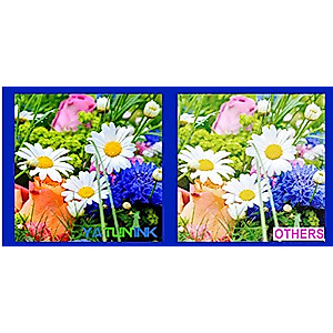 YATUNINK Remanufactured Ink Cartridge Replacement for Kodak 30 30XL Ink Cartridge and Kodak 30 Printhead for ESP C310 C315 Office 2150 2170 Hero 3.1 3.2 5.1 Printer(3 Pack Cartridge +1 Pack Printhead)