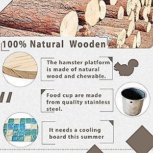 kathson 7 Pcs Dwarf Hamster Wooden Platform Natural Guinea Pig Springboard Chinchilla Toys for Mice Squirrel and Small Animal