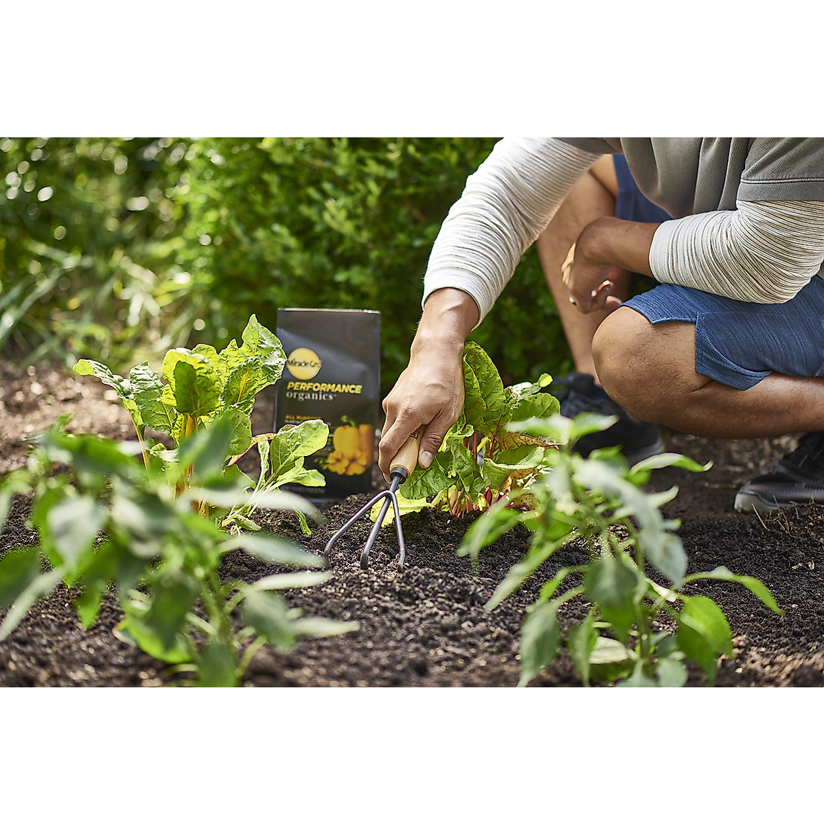 Miracle-Gro Performance Organics All Purpose Plant Nutrition Granules, 1.75 lb. - Organic, All-Purpose Plant Food for Vegetables, Flowers and Herbs - Feeds up to 165 sq. ft.