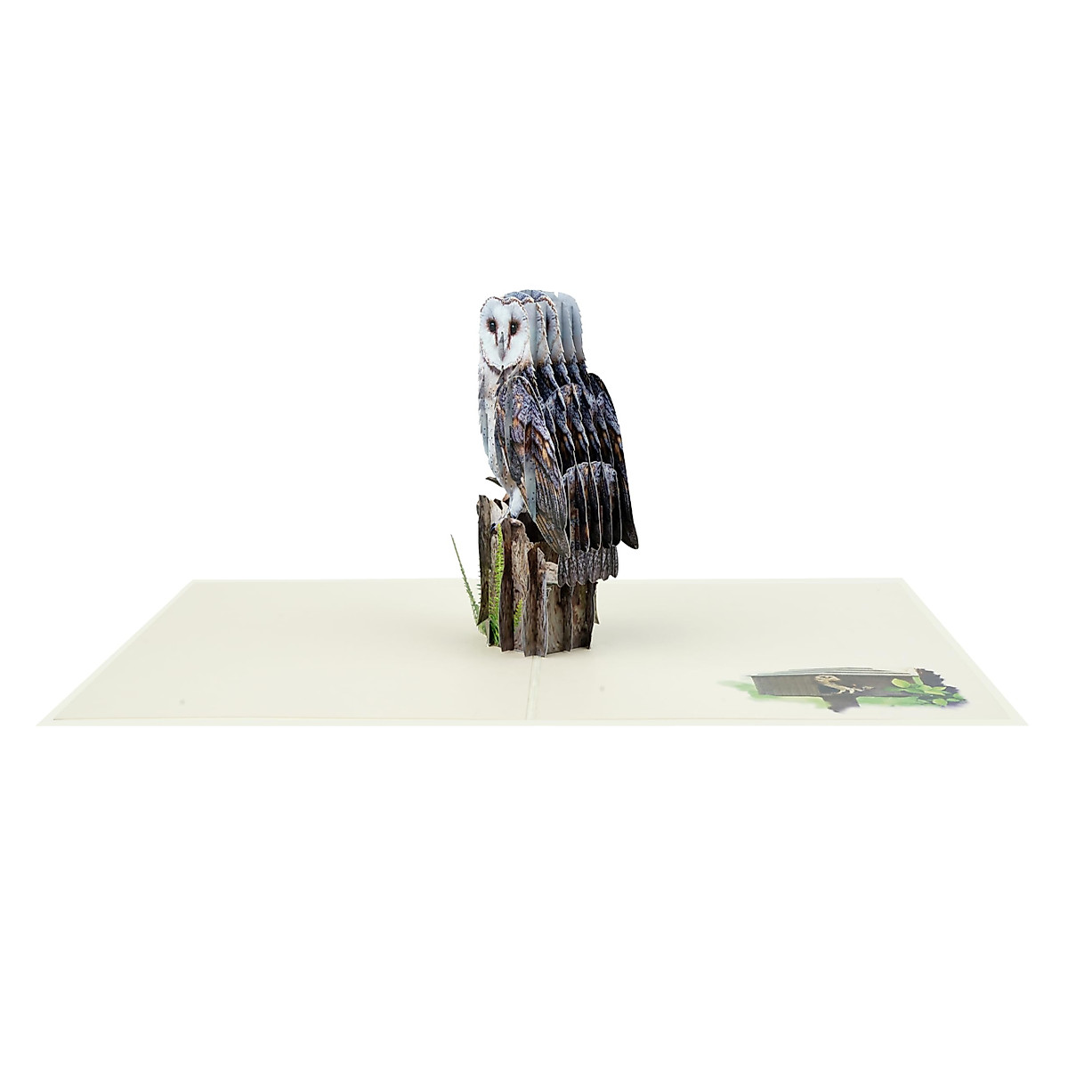iGifts And Cards Majestic Owl 3D Pop-Up Greeting Card - 6"x8" Enchanting Forest Whispers Gift, Fun Present for Animal and Nature Lovers, Unique Ideas for Birthday, Graduation, Housewarming