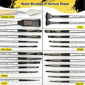 GACDR Acrylic Paint Brush Set, 24 Pieces Paint Brushes for Acrylic Painting with Cloth Roll Case and 2 Sponges, Pinceles para Acrilico for Oil Watercolor Gouache…