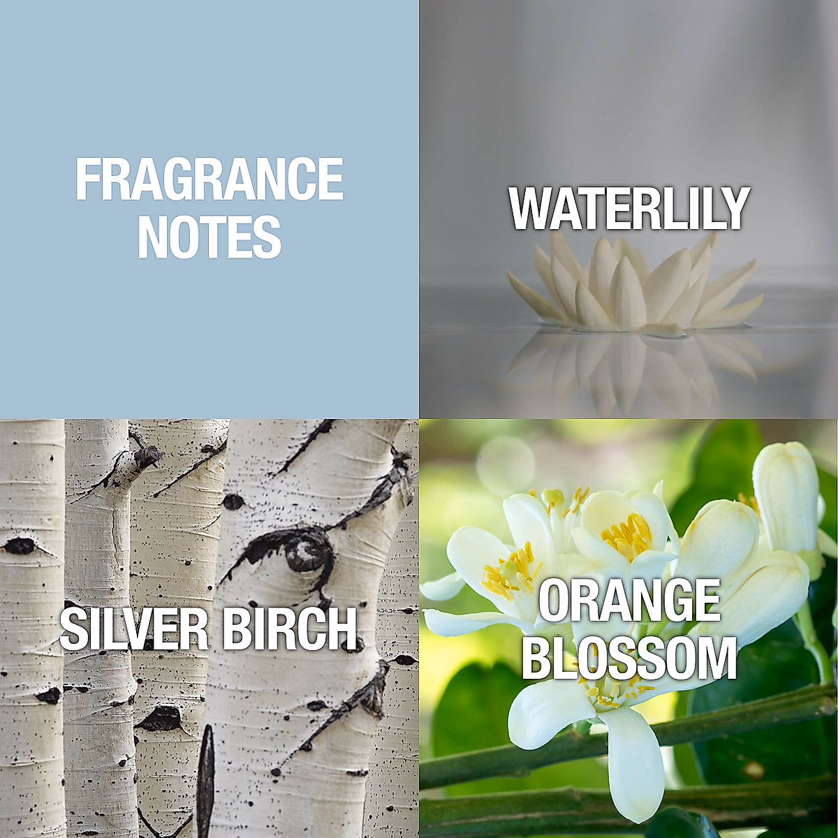 Alfred Sung Women's Perfume, Shi, Eau De Parfum EDP Spray 3.4 Fl Oz