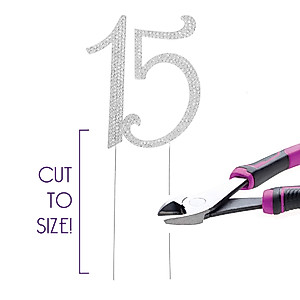 Ella Celebration 15 Cake Topper 15th Birthday Anniversary Quinceañera Party Supplies Rhinestone Number Decoration (Silver)