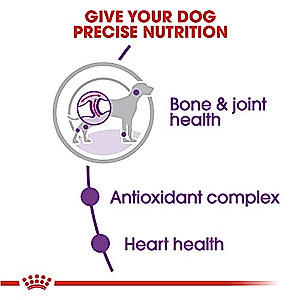 Royal Canin Giant Breed Adult Dry Dog Food, 35 lb bag