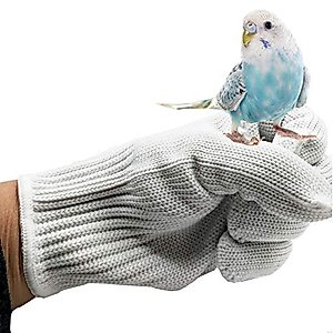 alfyng Bird Training Anti-Bite Gloves, Parrot Chewing Safety Protective Gloves, Small Animal Handling Gloves for Parrotlets Cockatiels Finch Macaw (1 Pair White)