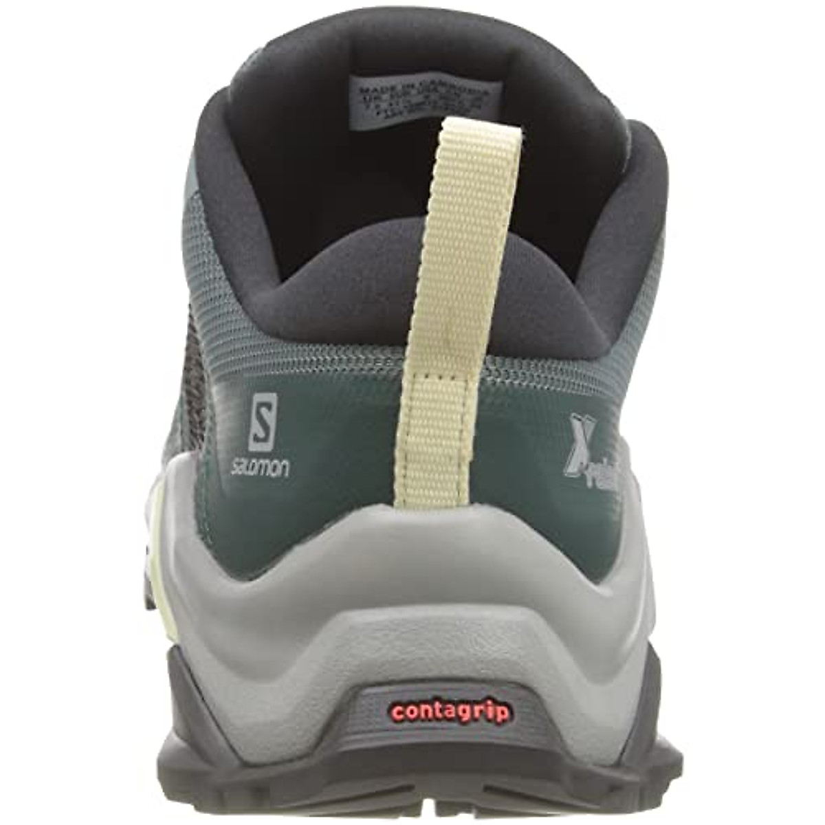 Salomon Women's X Raise 2 W Trail Running Shoe, Trooper/Ponderosa Pine/Frozen Dew, 8.5