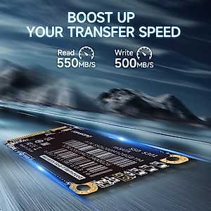 fanxiang S301 1TB mSATA SSD Mini SATA III 6Gb/s Internal Solid State Drive, 3D NAND, Compatible with Ultrabook Desktop PC Laptop