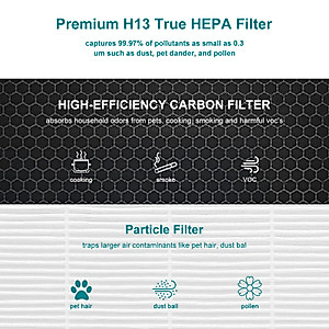 116130 Replacement Filter, 5500-2 Air Puri-fier Replacement Filter Compatible with winix 5500-2, AM80 Air Puri-fier, 2 Pack Filters and Activated Carbon Pre-Filters.