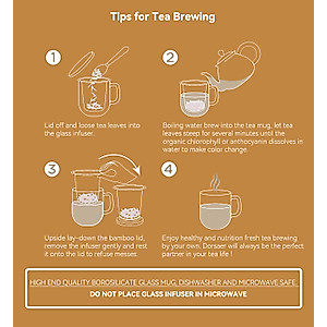 Dorsaer Glass Tea Mugs - 16.9oz Glass Tea Cup with Infuser and Lid for Tea Steeping at Home and Office. Larger Glass Tea Cups, Clear Glass Tea mugs with infuser and lid