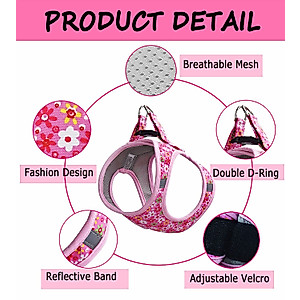 Moonpet Step in Air Dog Harness Leash Set- All Weather Reflective No-Pull Floral Pattern Padded Mesh Vest Harness for Cats Puppy Extra-Small Small Medium Large Dogs - Pink Flower - XXS