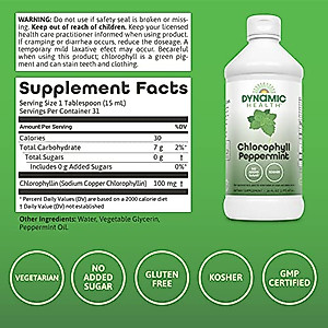 Dynamic Health Liquid Chlorophyll Peppermint 100 mg, Sodium Copper Chlorophyllins with Alfalfa and Mulberry Leaves, Plant Cleanse and Deodorizing, No Added Sugar, 16 Fl Oz