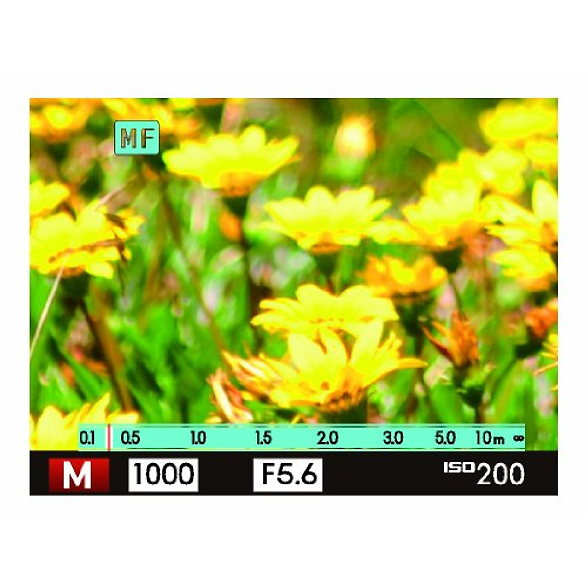 FUJIFILM FinePix X100 APS-C CMOS EXR Digital Camera with 23mm Fujinon Lens and 2.8-Inch LCD - International Version (No Warranty)