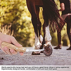 Yosoo Hoof Knife Straight Blade Left Right Handed Trimming Tool Horse Equipment for Cattle Horse Use