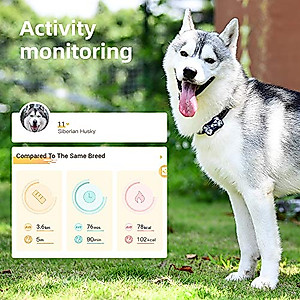 PETBIZ G20 GPS Pet Tracker, 30 Days Battery Life, IPX7 Waterproof Light Weight Compact GPS Tracker for Cat and Dog (Ice camo)