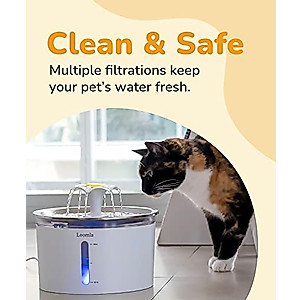 Loomla Cat Water Fountain, 85oz/2.5L Pet Water Fountain Indoor, Automatic Dog Water Dispenser with Switchable LED Lights, 2 Replacement Filters for Cats, Dogs, Pets（Stainless Steel）