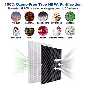 Flintar 116130 True HEPA Replacement Filter H, Compatible with Winix 5500-2 Air Purifier, Premium H13 Grade True HEPA and Washable Advanced Carbon Filter, Part # 116130, H Filter, 2-Pack