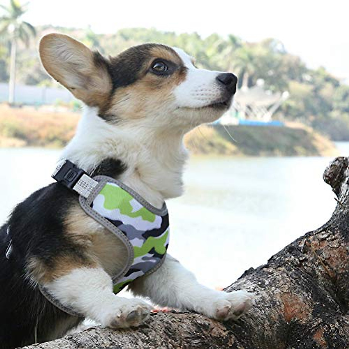 Adjustable Pet Harness Breathable Dog Chest Straps Vest Type Pet Chest Back Reflective No- Pull Dog Harness for Pet (Green, Size M) Dog Costumes Dog Clothes