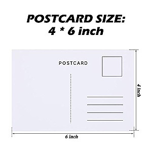 Zonon 60 Pieces Fun Facts Seasonal Landscapes Postcard Assorted Animal Fruits Scenic Spots Theme Postcards Funny Postcards for Kid Teacher, 4 x 6 Inches (Fun Facts)